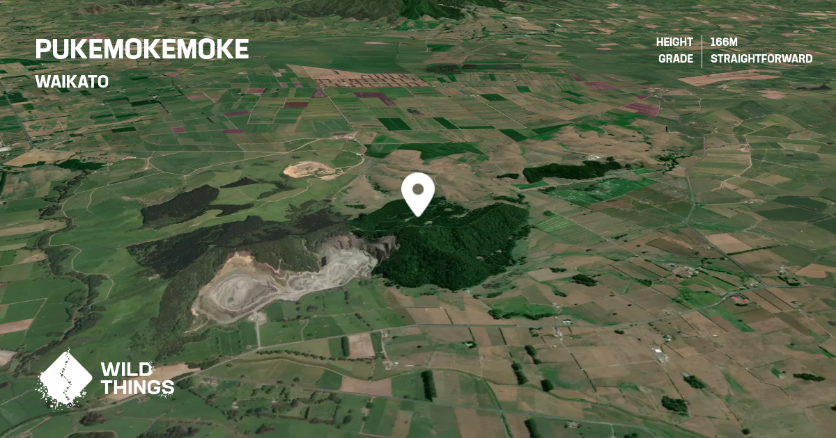 Pukemokemoke, Waikato, New Zealand - Peak Directory - Wild Things