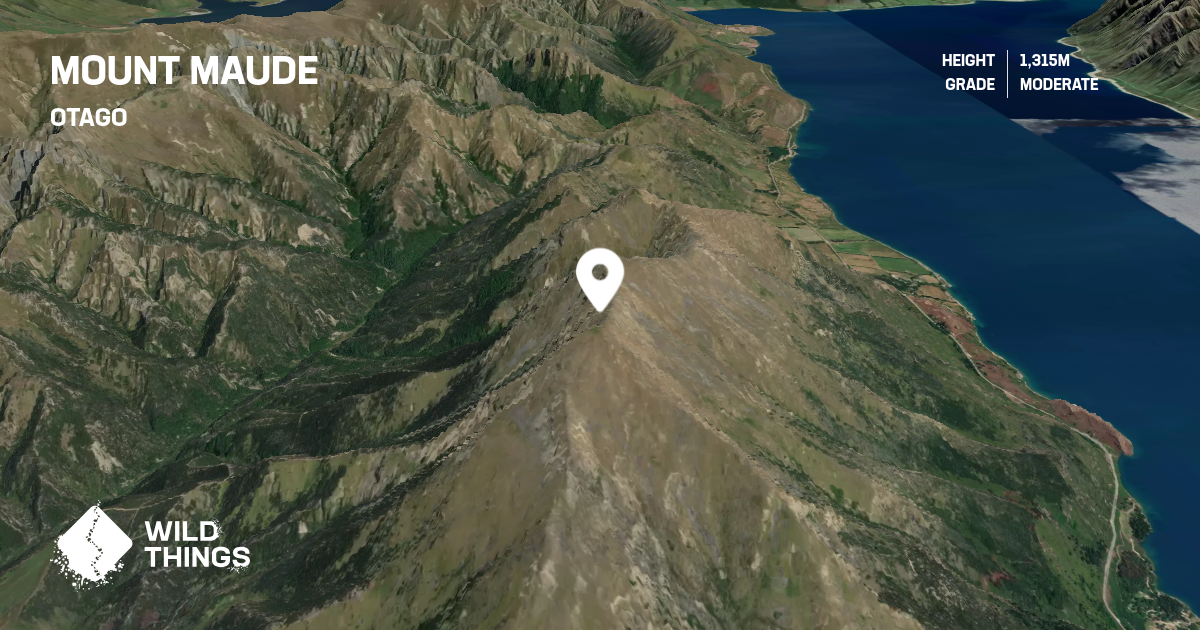 Mount Maude, Otago, New Zealand - Peak Directory - Wild Things