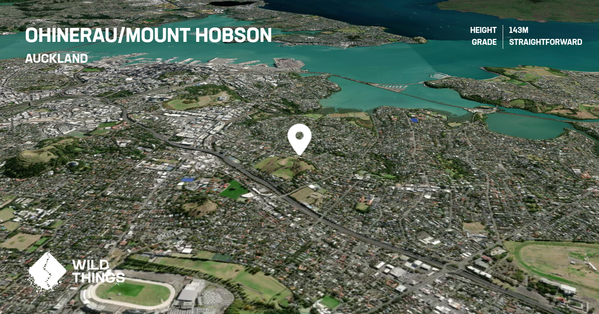 Ohinerau/Mount Hobson, Auckland, New Zealand - Peak Directory - Wild Things