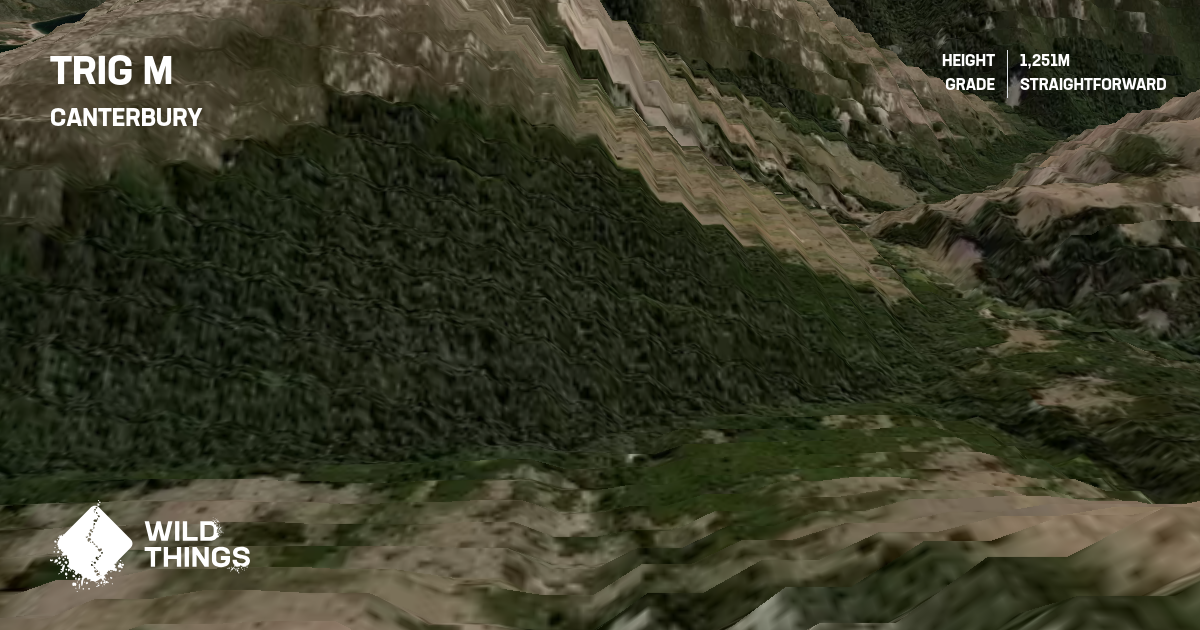 Trig M, Canterbury, New Zealand - Peak Directory - Wild Things