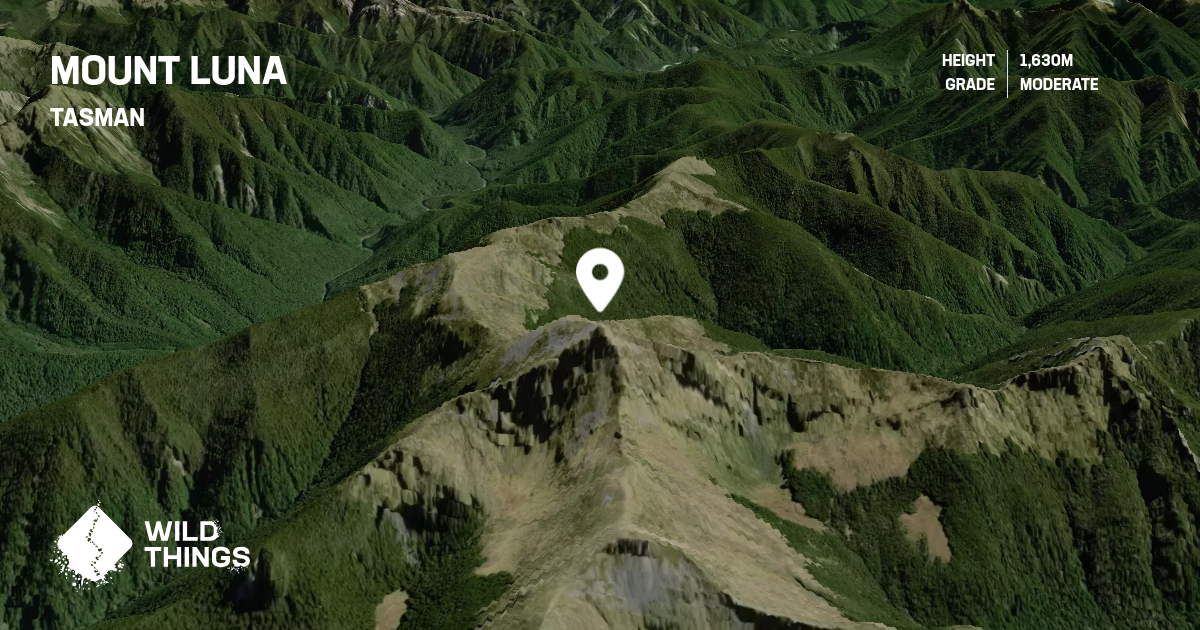 Mount Luna, Tasman, New Zealand - Peak Directory - Wild Things