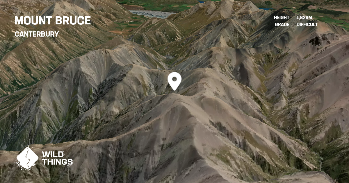 Mount Bruce , Canterbury, New Zealand - Peak Directory - Wild Things
