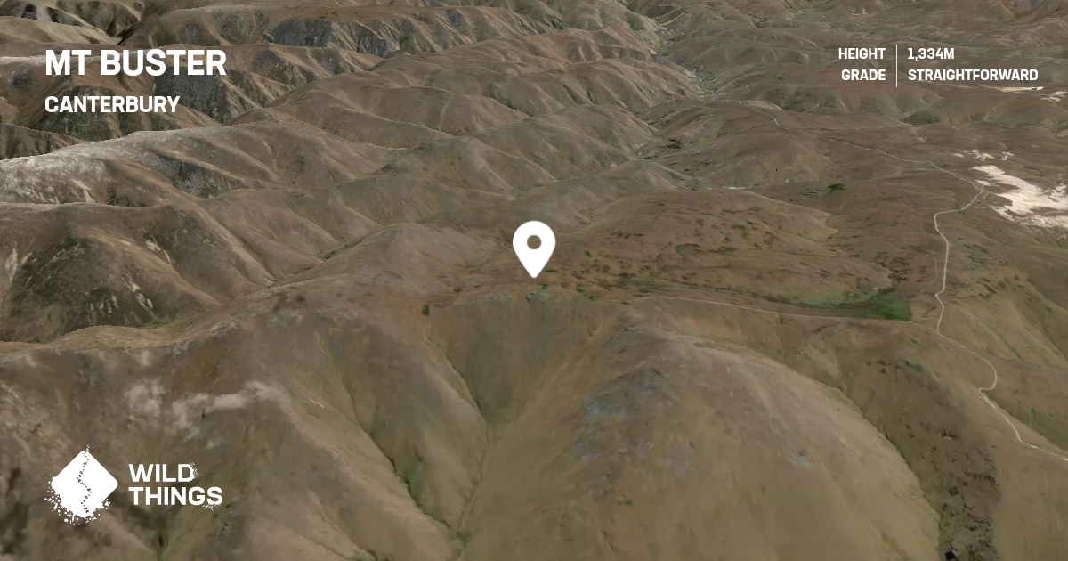 Mt Buster, Canterbury, New Zealand - Peak Directory - Wild Things