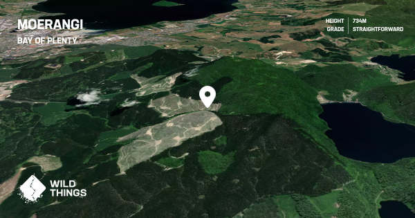 Moerangi, Bay of Plenty, New Zealand - Peak Directory - Wild Things