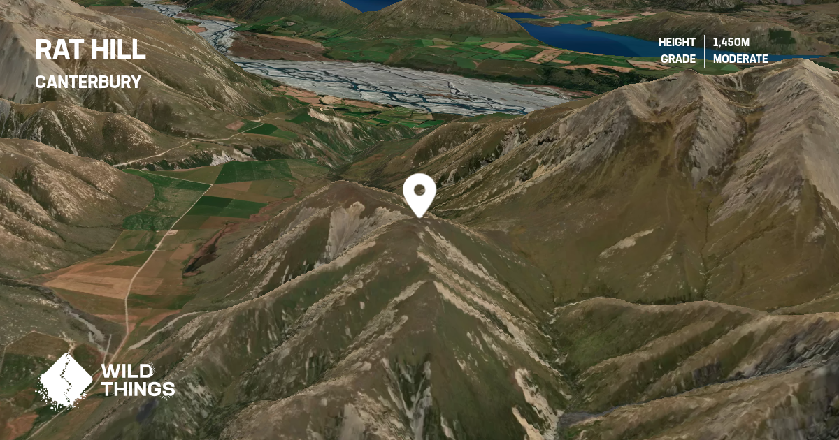 Rat Hill, Canterbury, New Zealand - Peak Directory - Wild Things