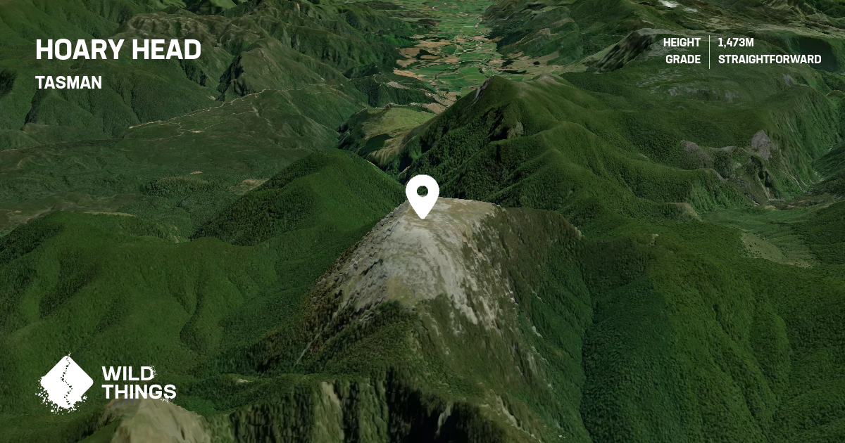 Hoary Head, Tasman, New Zealand - Peak Directory - Wild Things