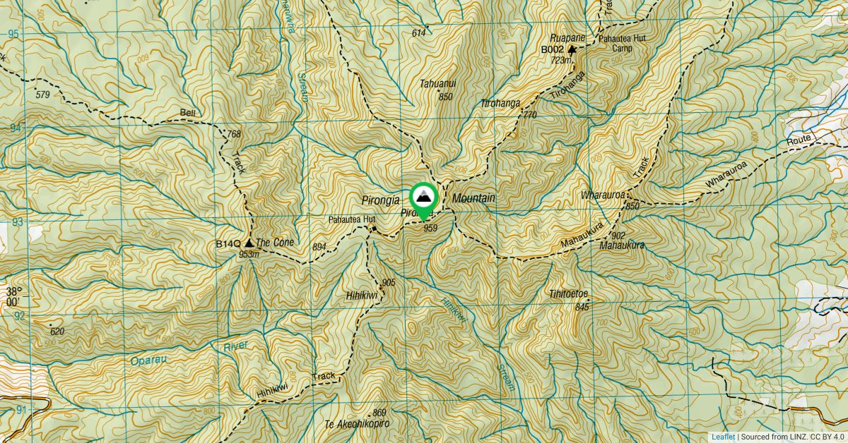 Pirongia, Waikato - Peak Directory - Wild Things