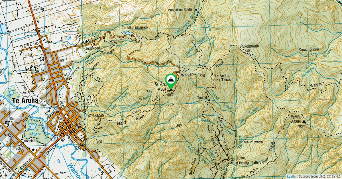 Te Aroha, Waikato - Peak Directory - Wild Things