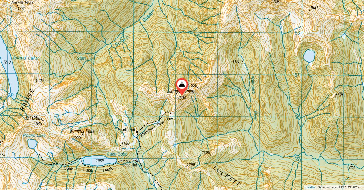 Waingaro Peak, Tasman - Peak Directory - Wild Things