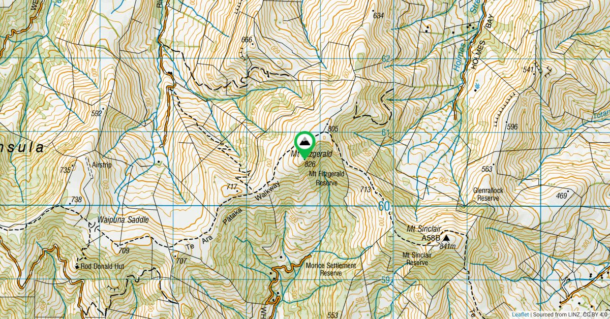 Mount Fitzgerald, Canterbury - Peak Directory - Wild Things