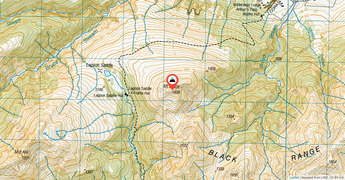 Mount Bruce, Canterbury - Peak Directory - Wild Things