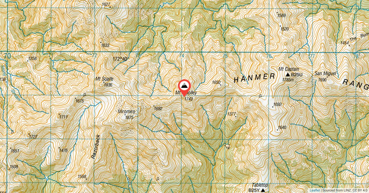 Mount Woolley, Canterbury - Peak Directory - Wild Things