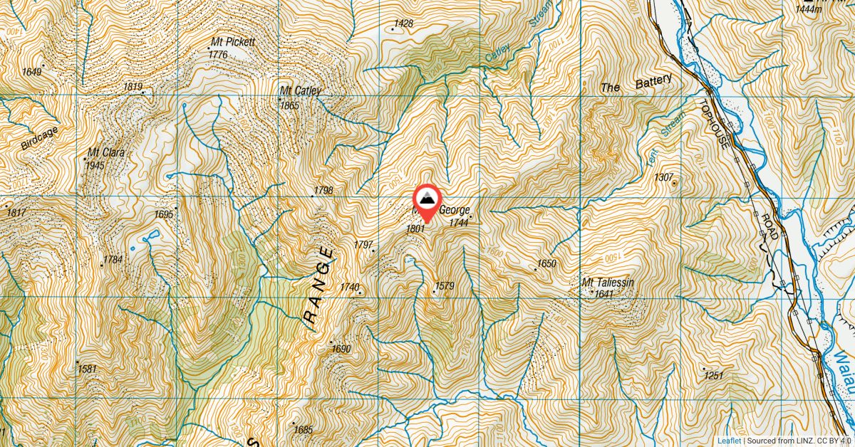 Mount St. George, Canterbury - Peak Directory - Wild Things