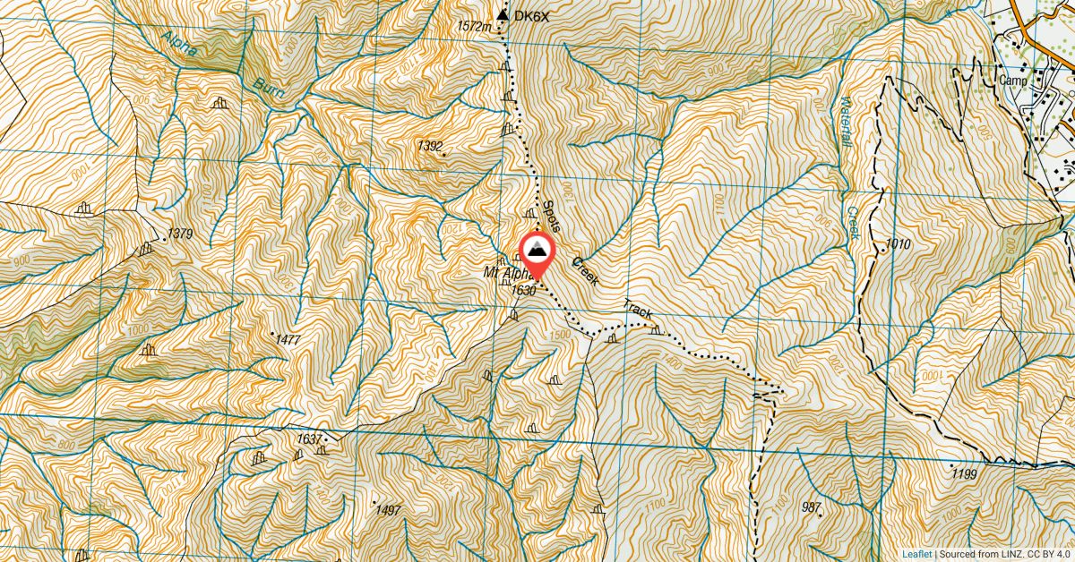 Mount Alpha , Otago - Peak Directory - Wild Things