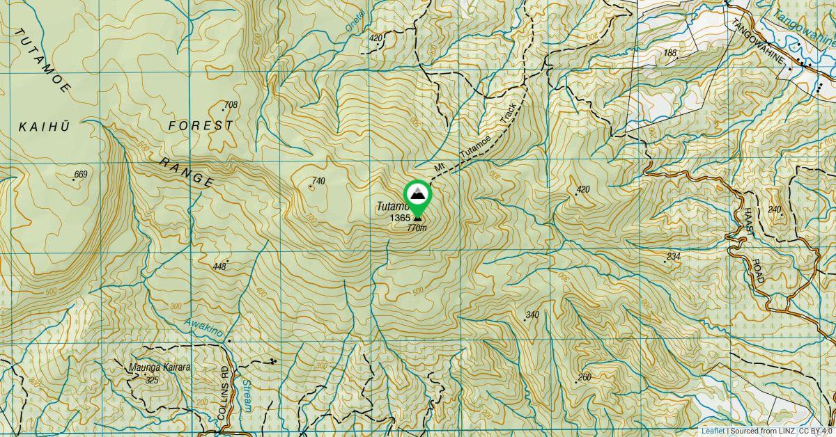 Tutamoe, Northland - Peak Directory - Wild Things