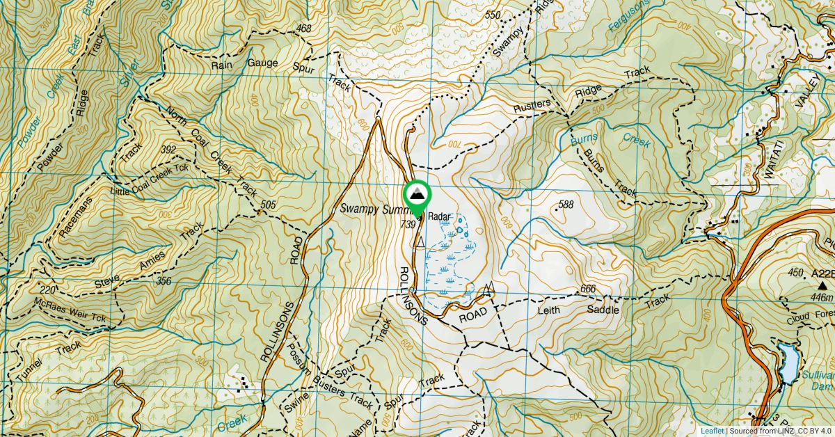 Swampy Summit, Otago - Peak Directory - Wild Things