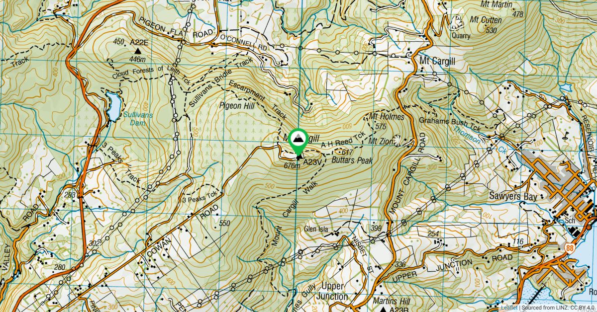 Mount Cargill, Otago - Peak Directory - Wild Things