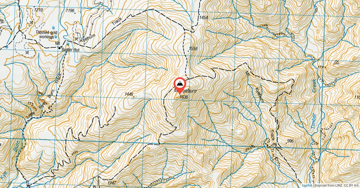 Mt Kyeburn, Otago - Peak Directory - Wild Things