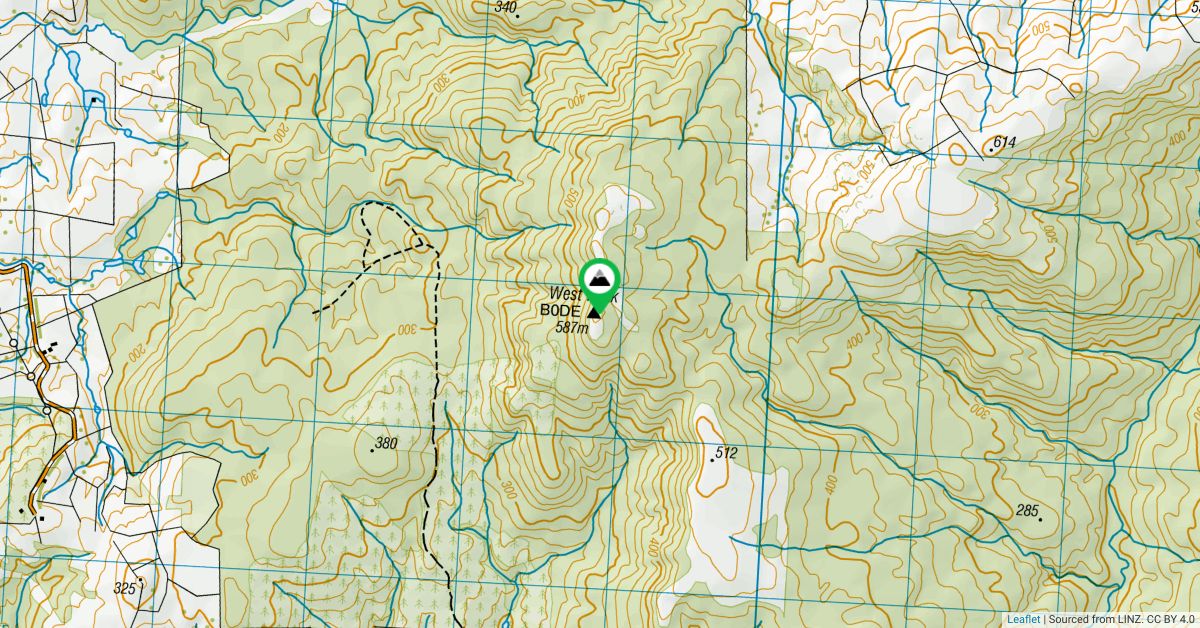 West Peak - Hokonui Forest, Southland - Peak Directory - Wild Things