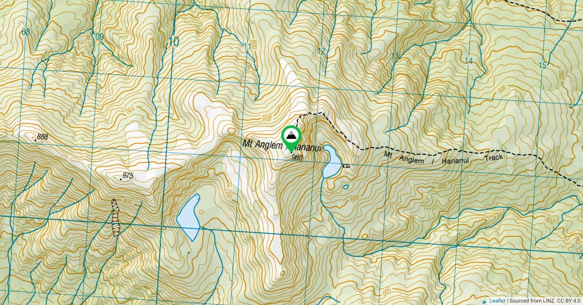 Mount Anglem/Hananui, Southland - Peak Directory - Wild Things