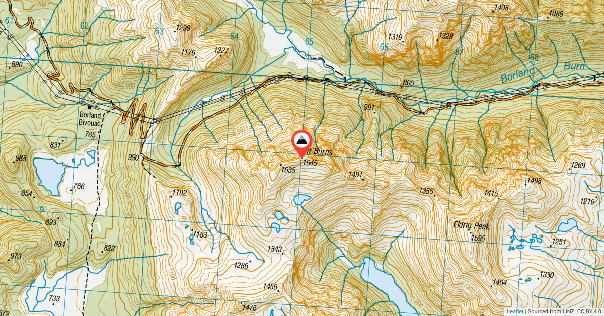 Mount Burns , Southland - Peak Directory - Wild Things
