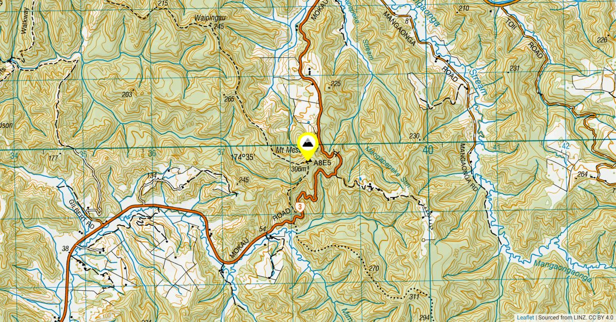 Mount Messenger, Taranaki - Peak Directory - Wild Things