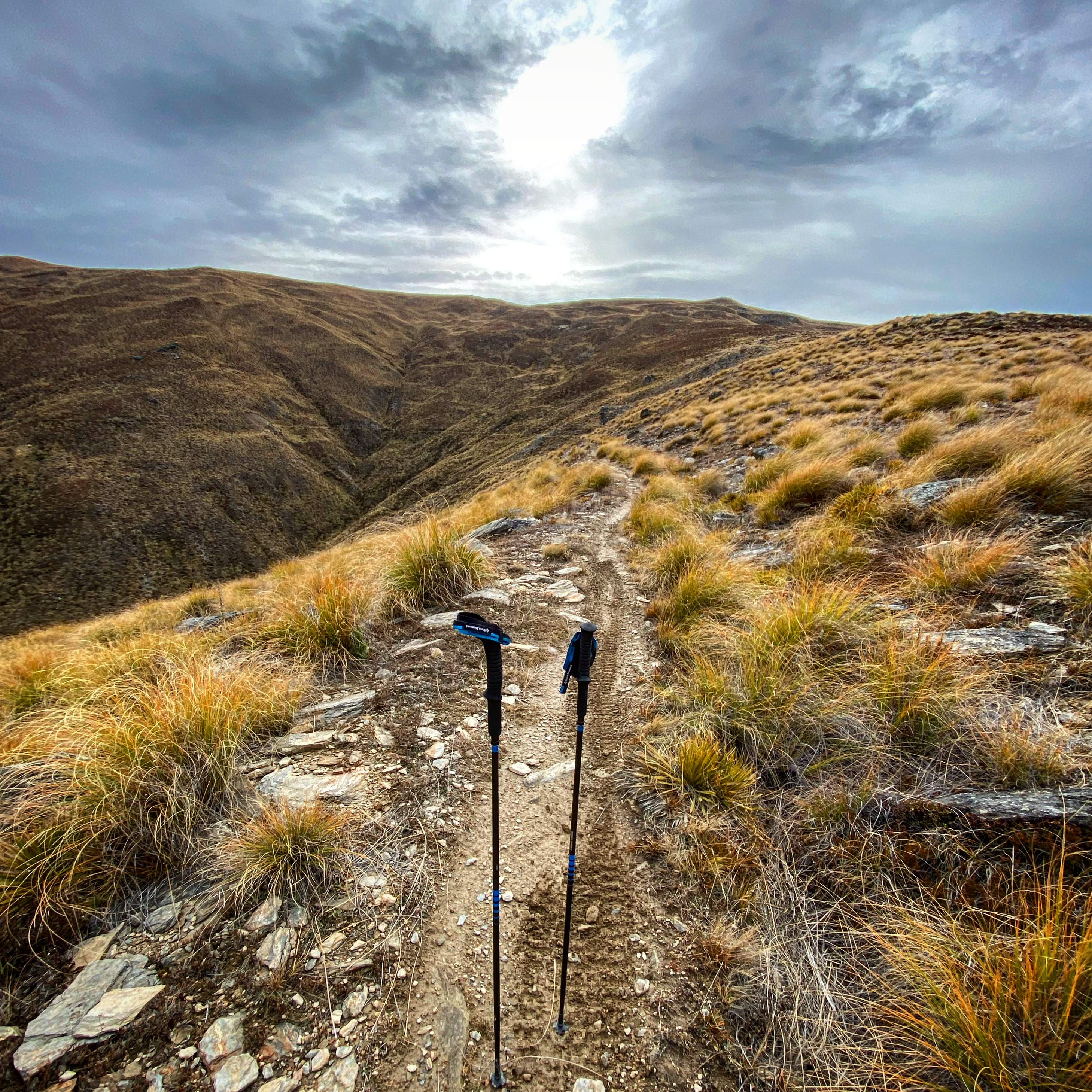 Glenroy Water Race Track, Otago - Trails Photo Gallery - Wild Things