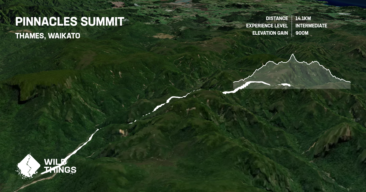 Pinnacles Summit, Waikato, New Zealand - Trail Running Directory - Wild Things