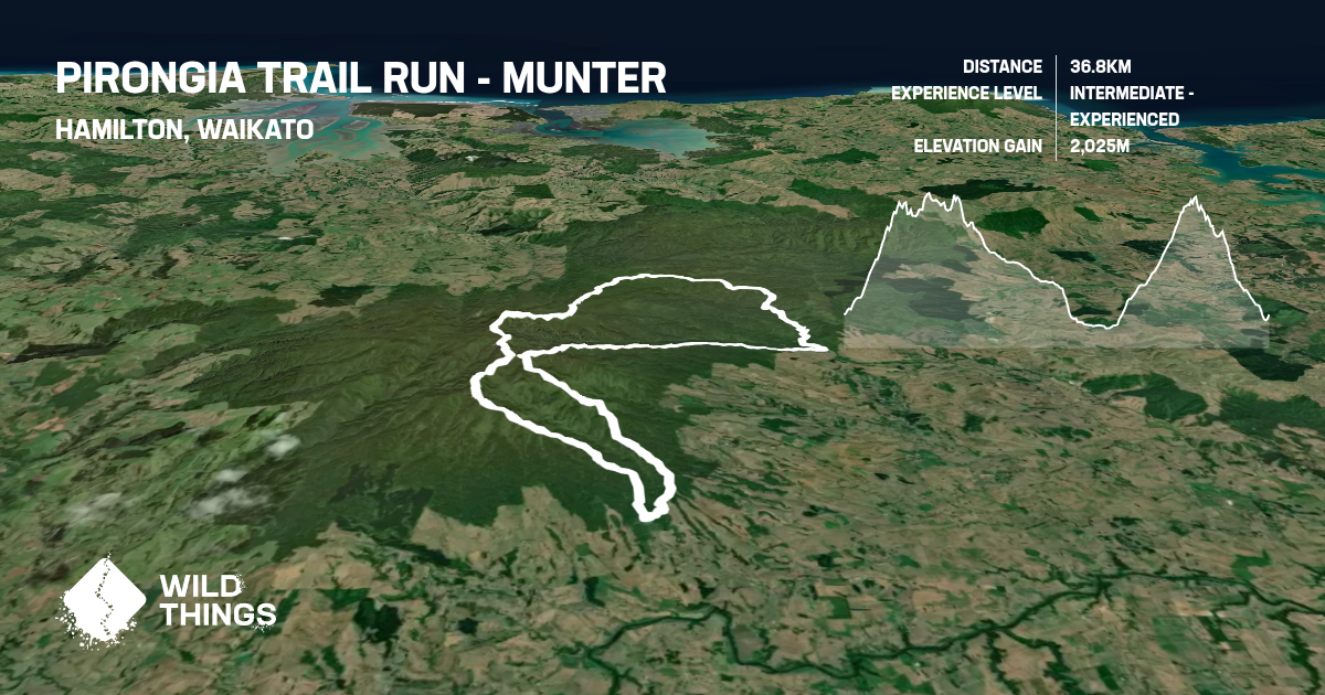 Pirongia Trail Run - Munter, Waikato, New Zealand - Trail Running ...