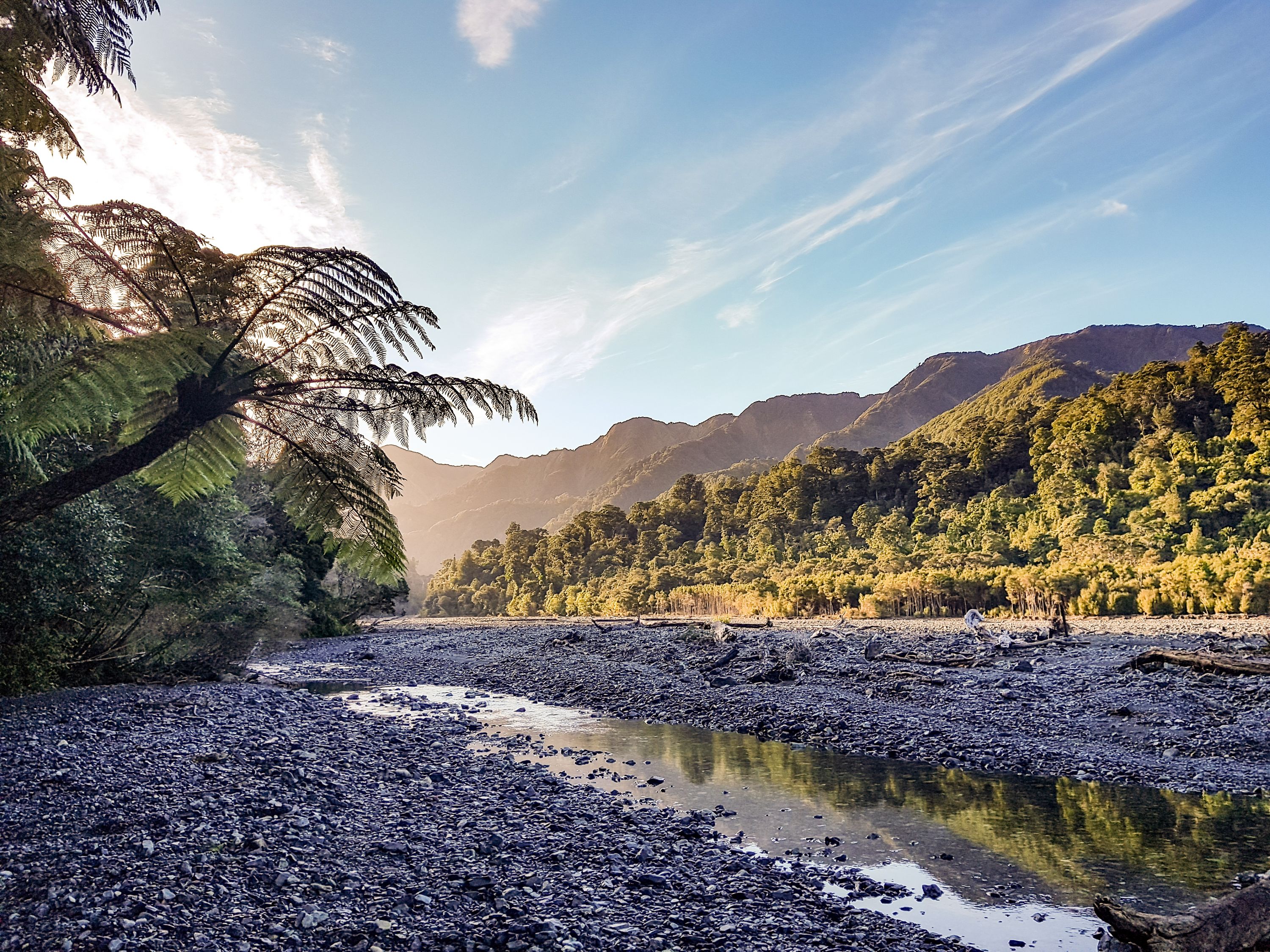 Mt Matthews, Wellington - Trails Photo Gallery - Wild Things