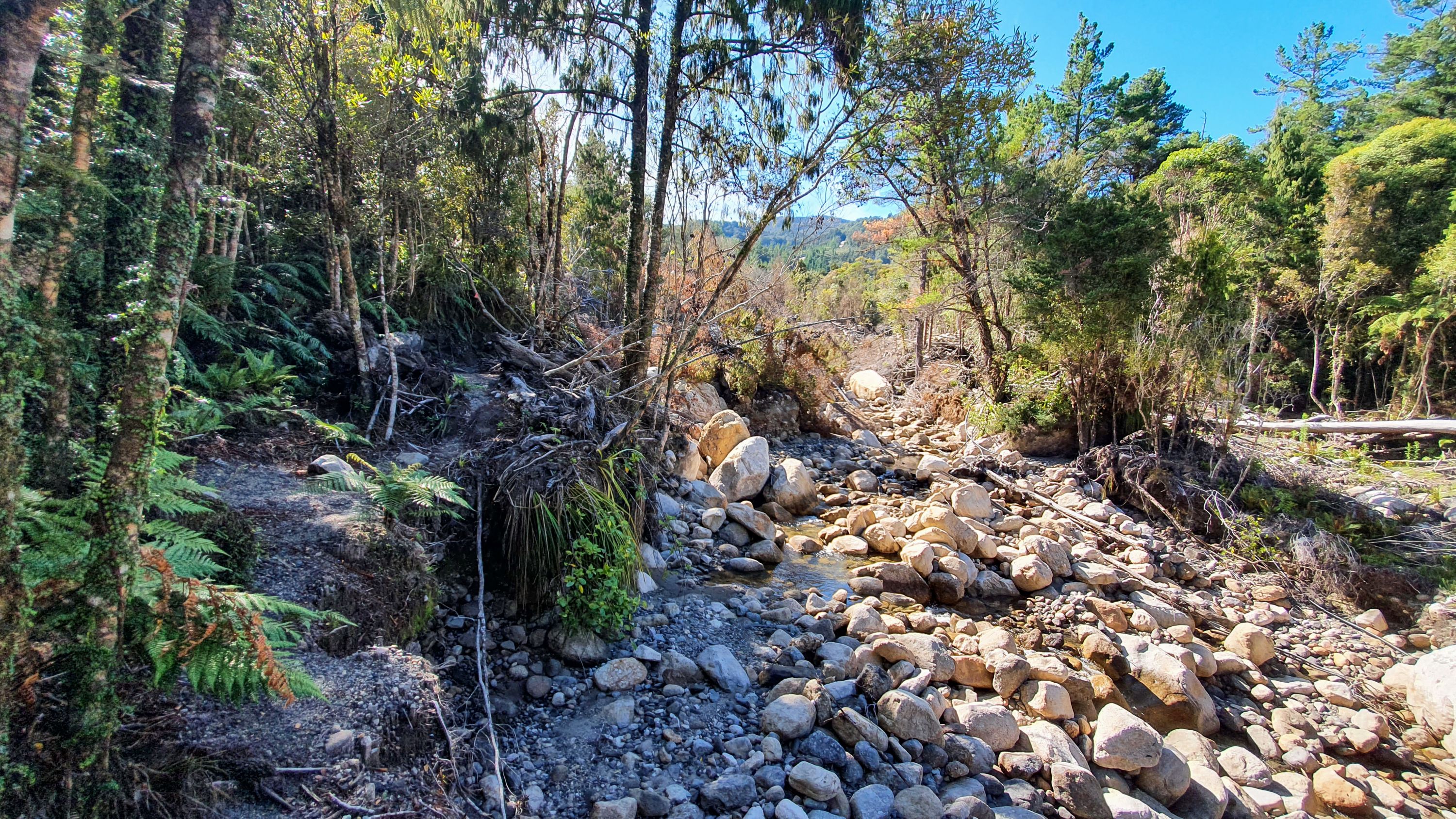 Lake Rochfort Ramble, West Coast - Trails Photo Gallery - Wild Things