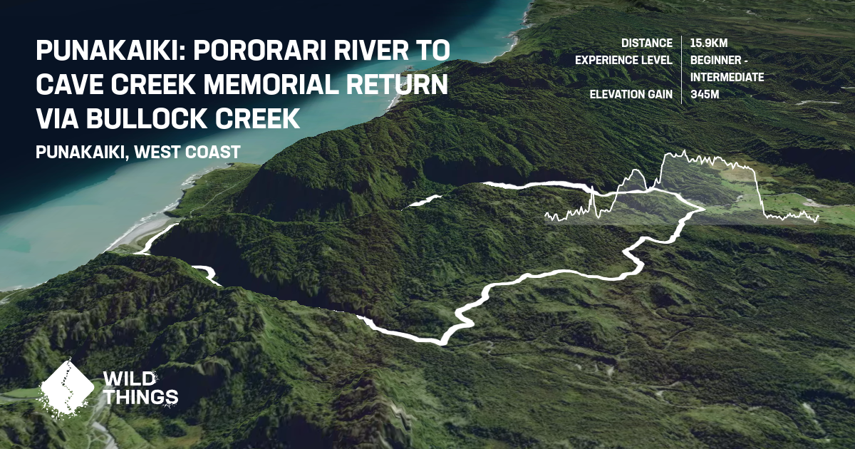 Punakaiki Loop, West Coast, New Zealand - Trail Running Directory ...