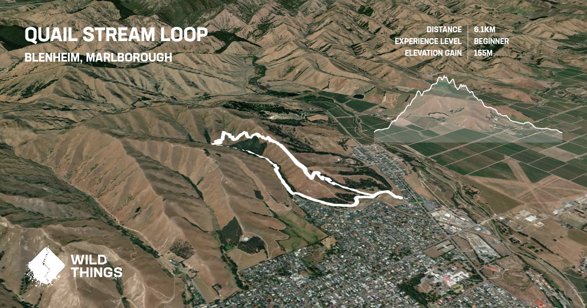 Quail Stream Loop, Marlborough, New Zealand - Trail Running Directory ...