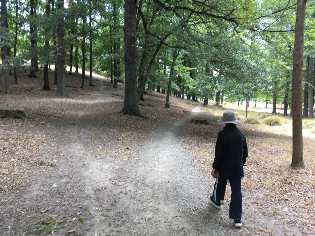 Ready Money Trail, Canterbury - Trails Photo Gallery - Wild Things