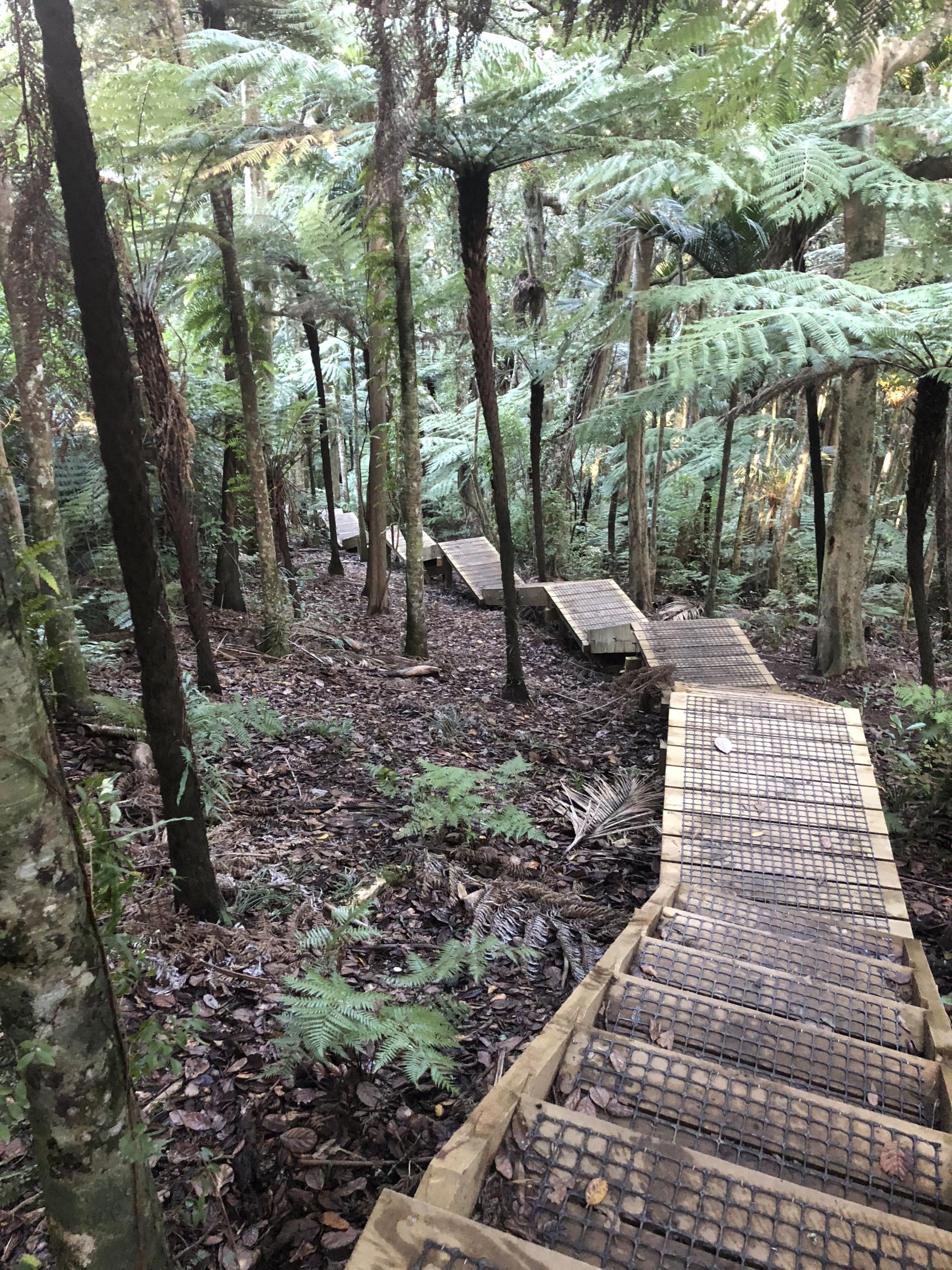 Clevedon Reserve Stairway to Heaven, Auckland - Trails Photo Gallery ...