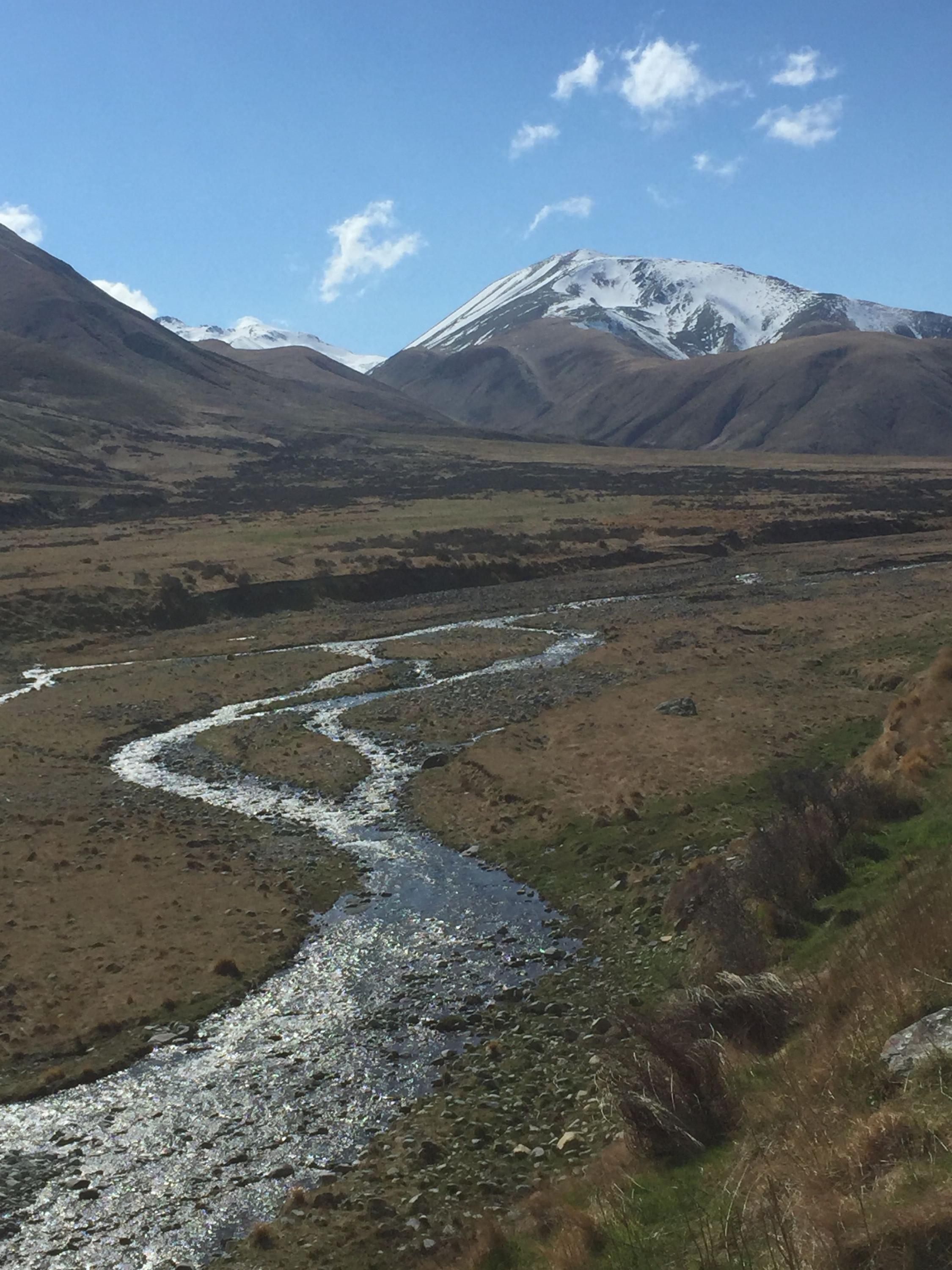 Spur Hut Return, Canterbury - Trails Photo Gallery - Wild Things