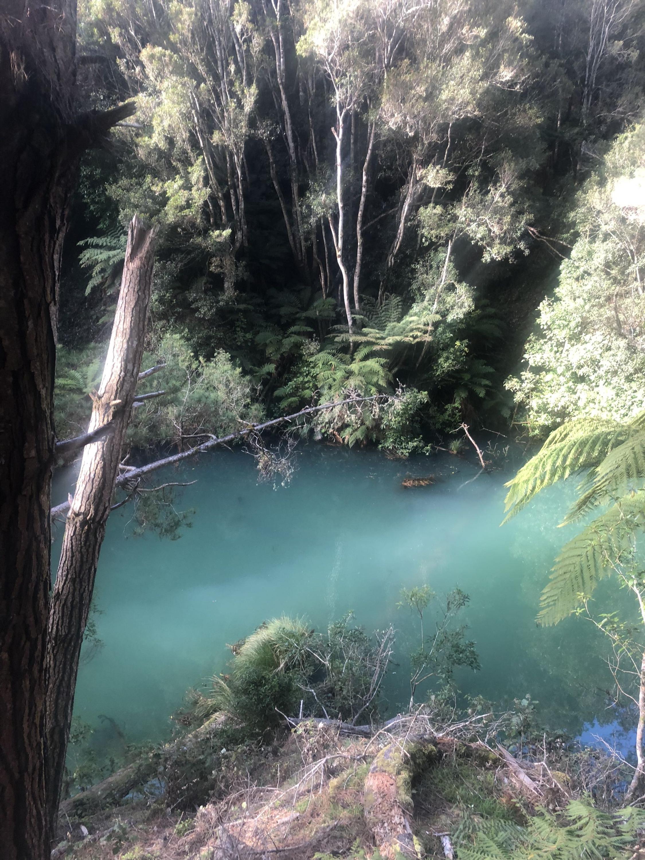 Waitahinga Dam Loop, Manawatu - Wanganui - Trails Photo Gallery - Wild ...