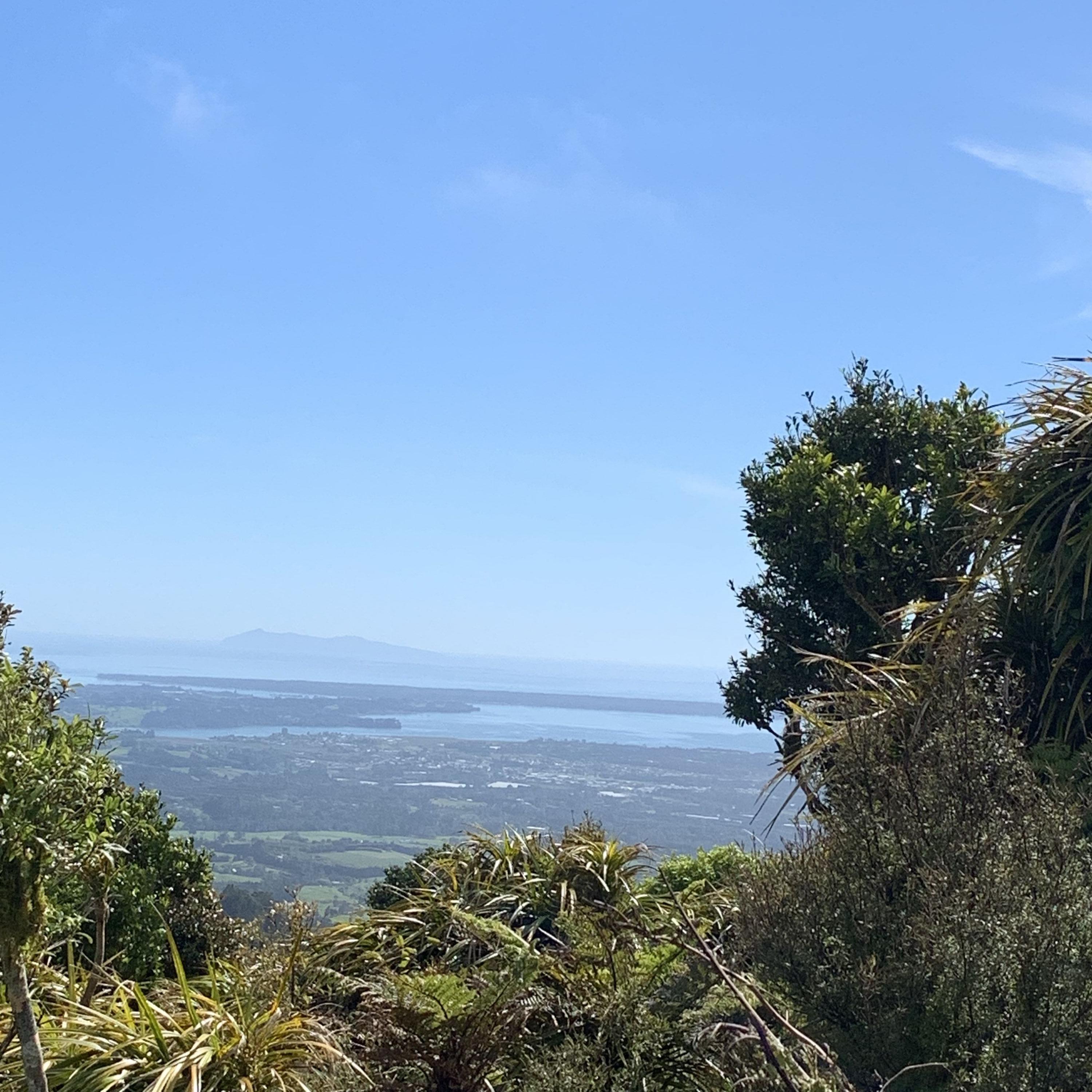 Tuahu Traverse, Bay of Plenty - Trails Photo Gallery - Wild Things