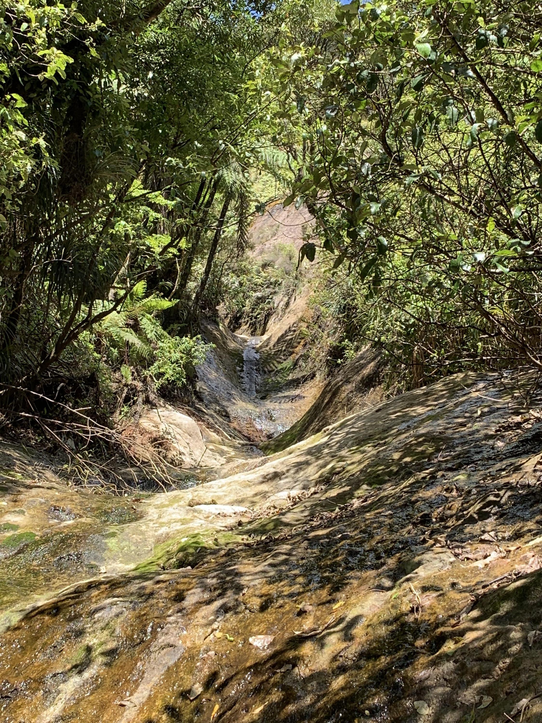 Tuahu Traverse, Bay of Plenty - Trails Photo Gallery - Wild Things