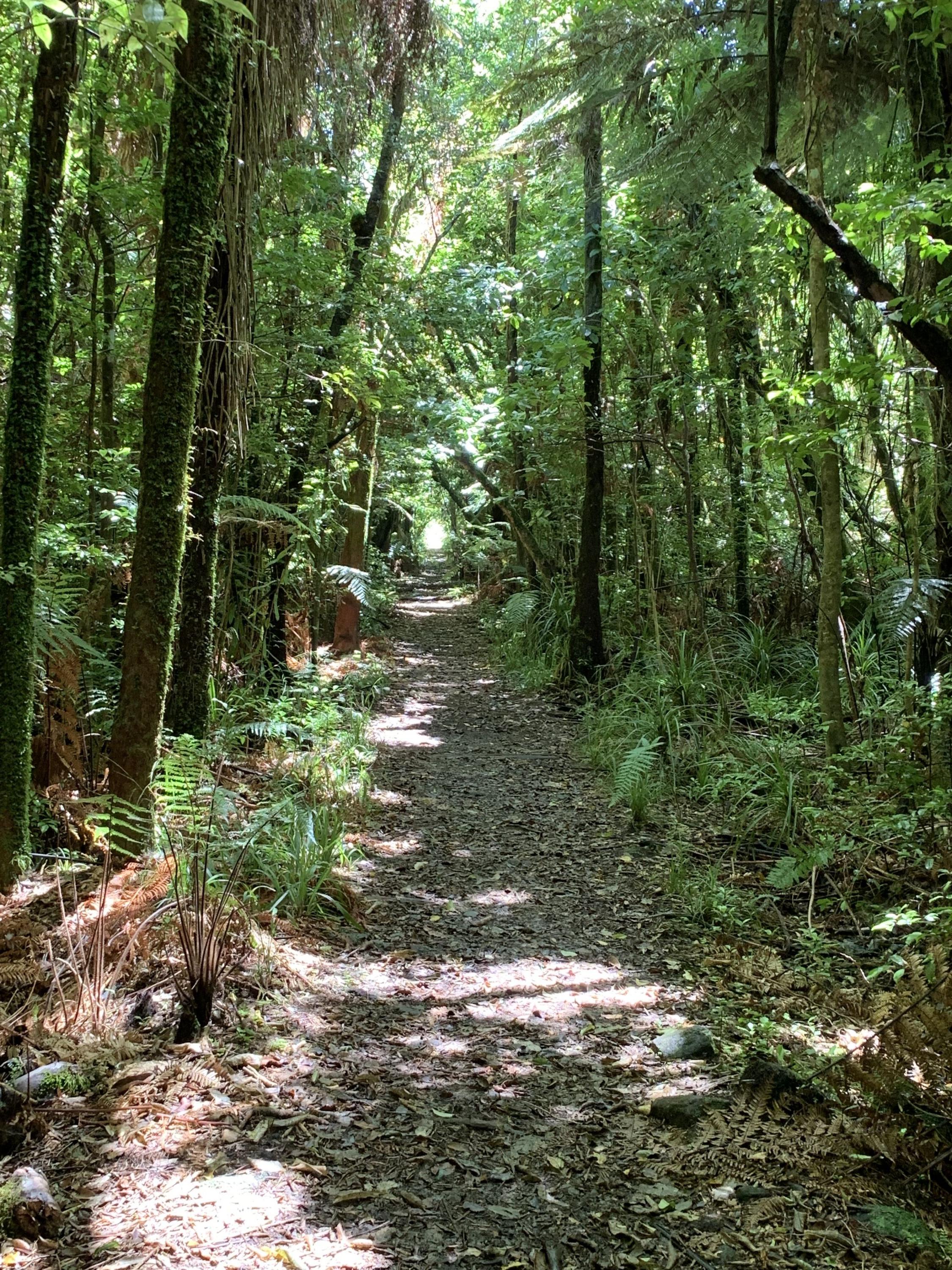 Waitawheta Tramway - Bogeys and Bluffs, Waikato - Trails Photo Gallery ...