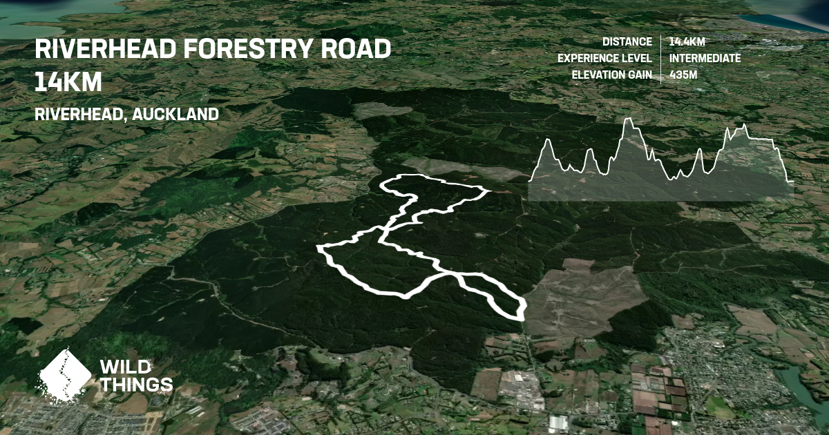 Riverhead Forestry Road 14KM, Auckland, New Zealand - Trail Running ...