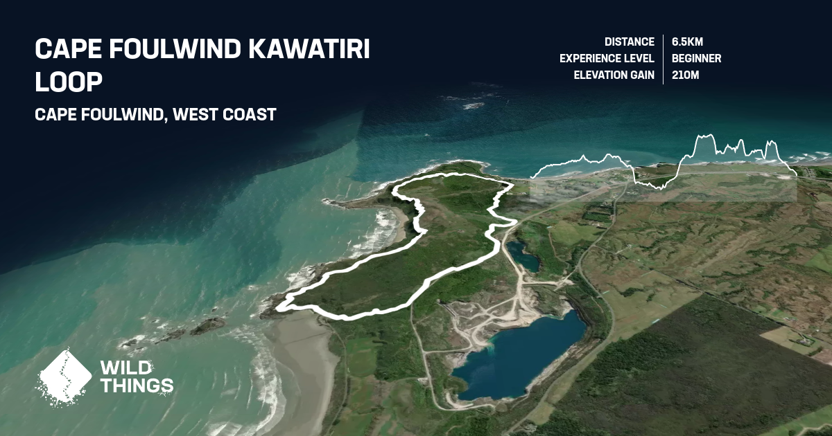 Cape Foulwind Kawatiri Loop, West Coast, New Zealand - Trail Running ...