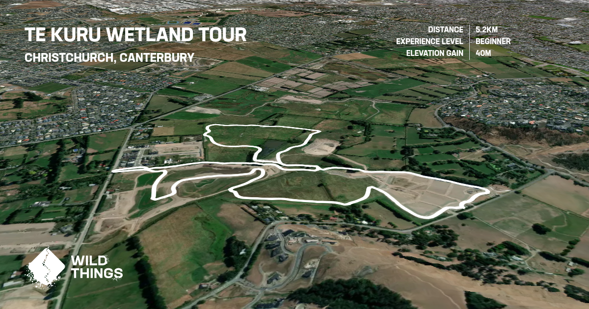 Te Kuru Wetland Tour, Canterbury, New Zealand - Trail Running Directory ...
