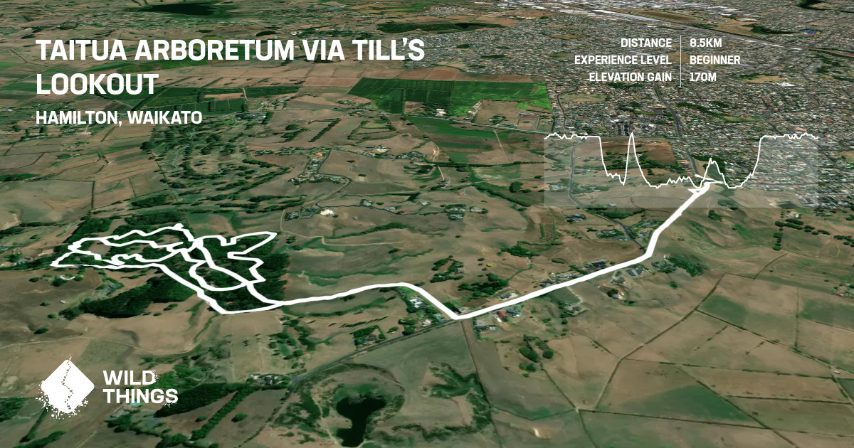 Taitua Arboretum via Till’s Lookout, Waikato, New Zealand - Trail ...