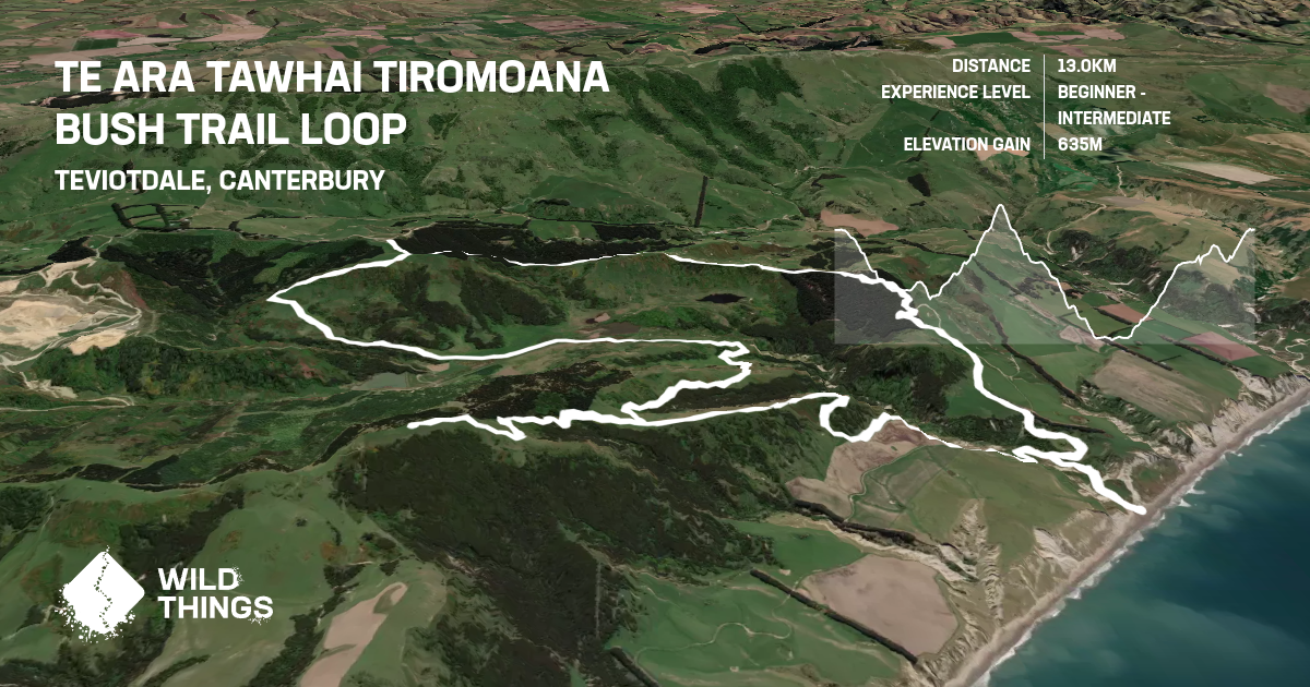 Te Ara Tawhai Tiromoana Bush trail loop, Canterbury, New Zealand ...