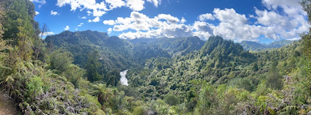 T42 Traverse , Manawatu - Wanganui - Trails Photo Gallery - Wild Things