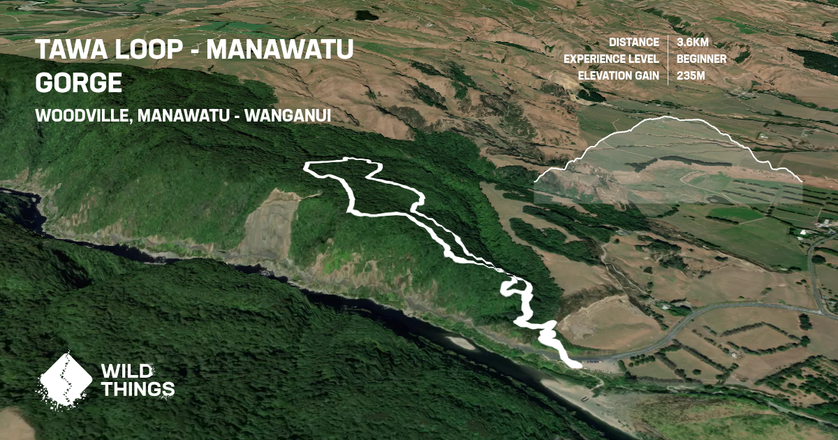 Tawa Loop - Manawatu Gorge, Manawatu - Wanganui, New Zealand - Trail ...