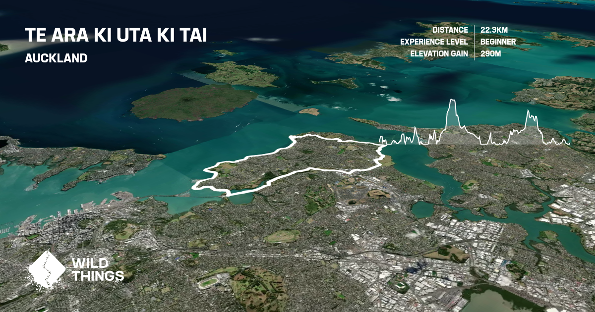 Te Ara ki Uta ki Tai, Auckland, New Zealand - Trail Running Directory ...