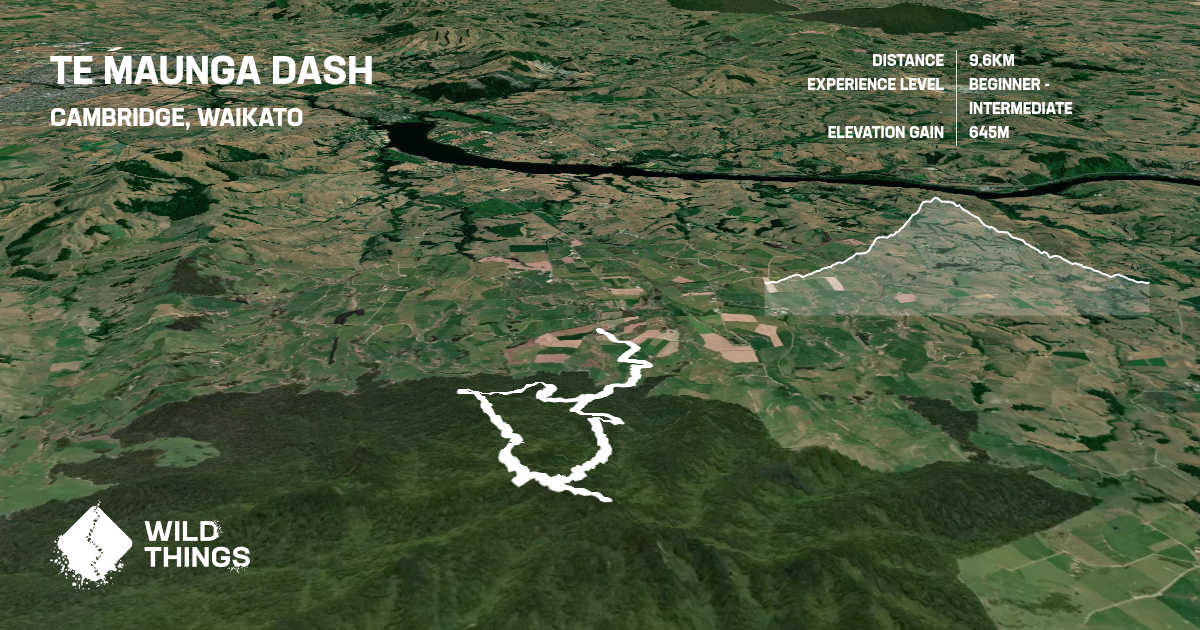 Te Maunga Dash, Waikato, New Zealand - Trail Running Directory - Wild ...