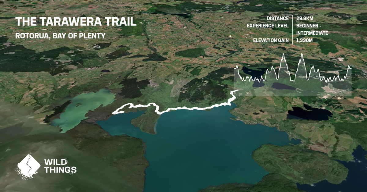 The Tarawera Trail, Bay of Plenty, New Zealand - Trail Running ...